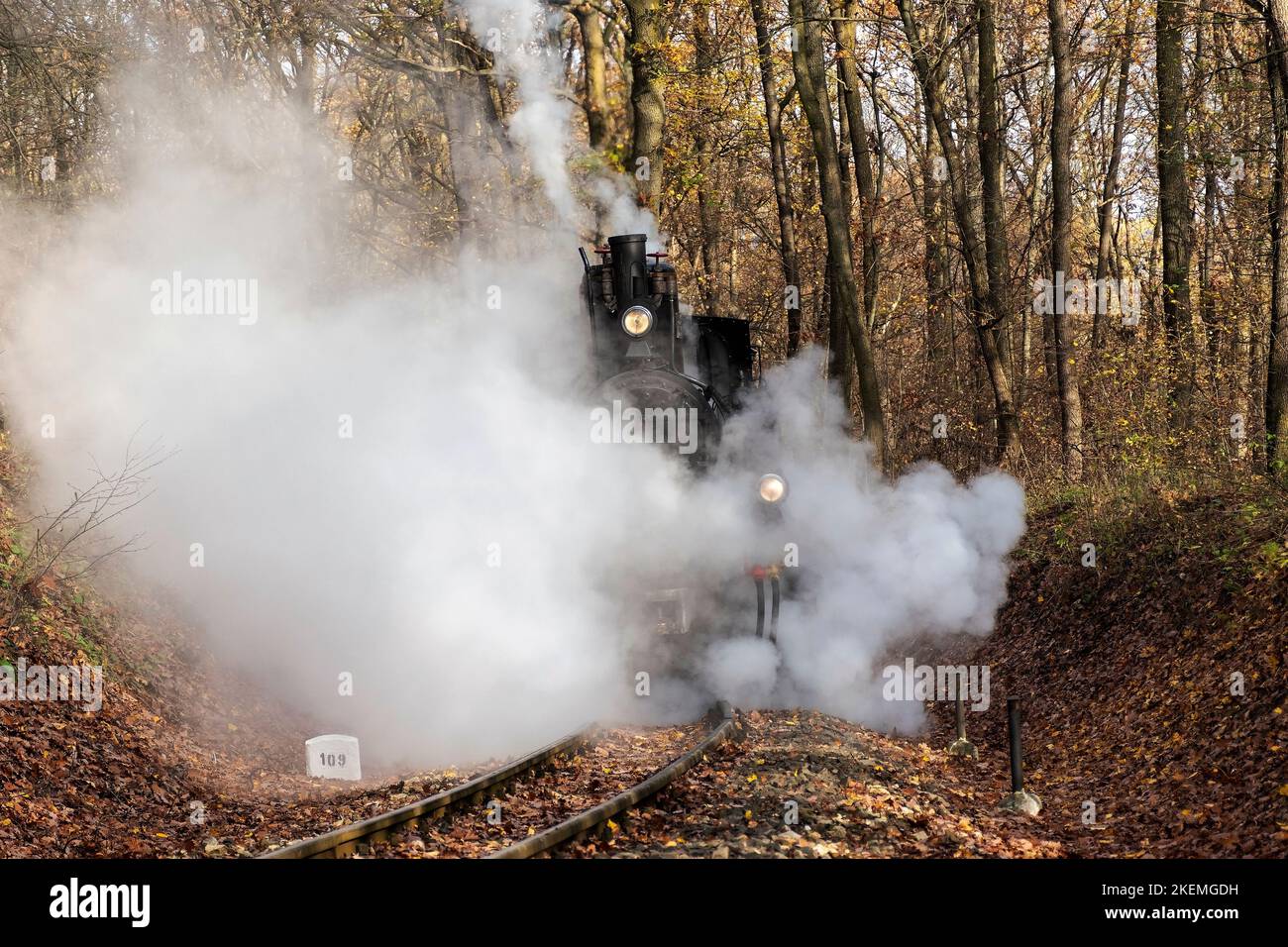 Nostalgic train hi-res stock photography and images - Alamy