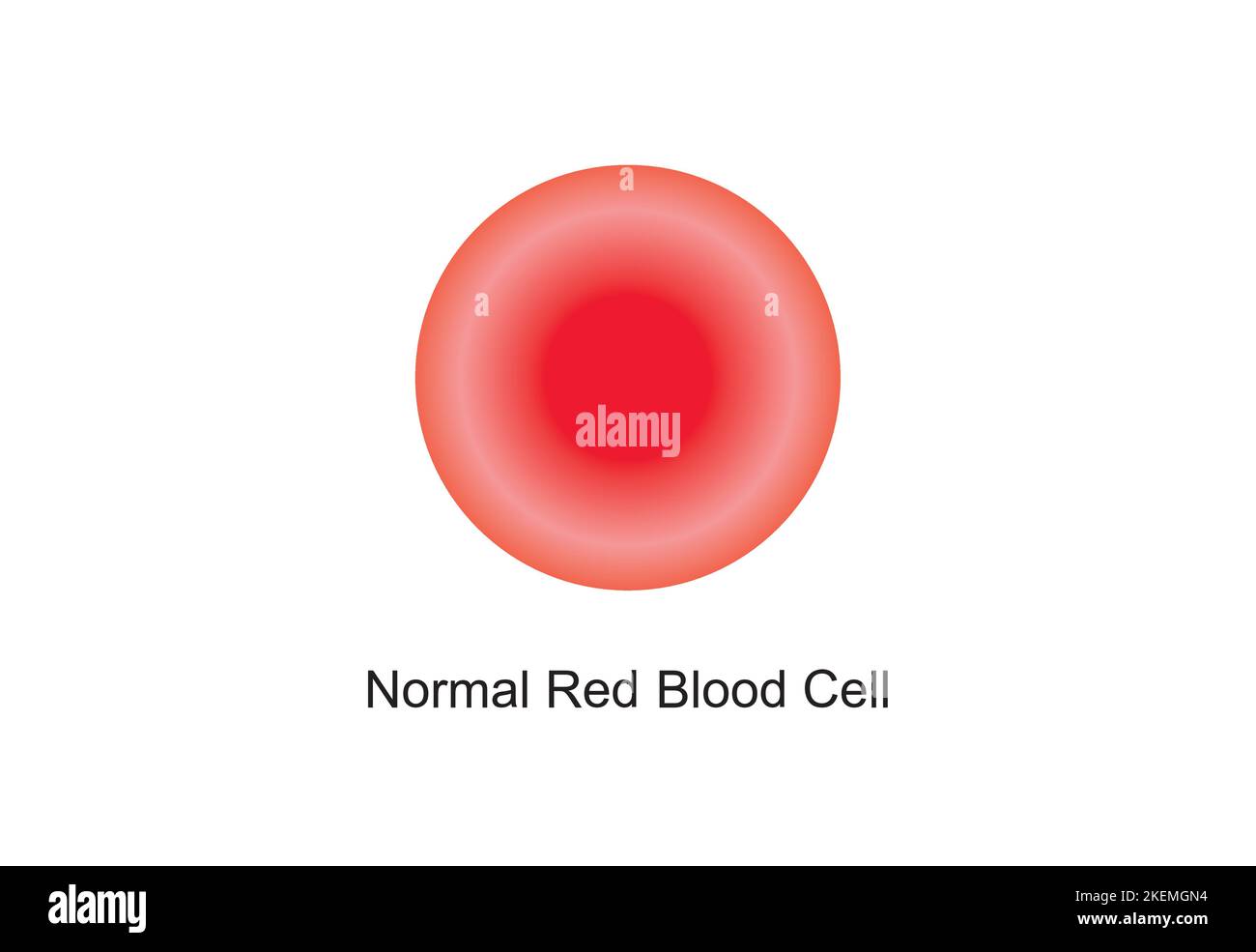 Scientific Designing of Normal Red Blood Cell. Colorful Symbols. Vector ...
