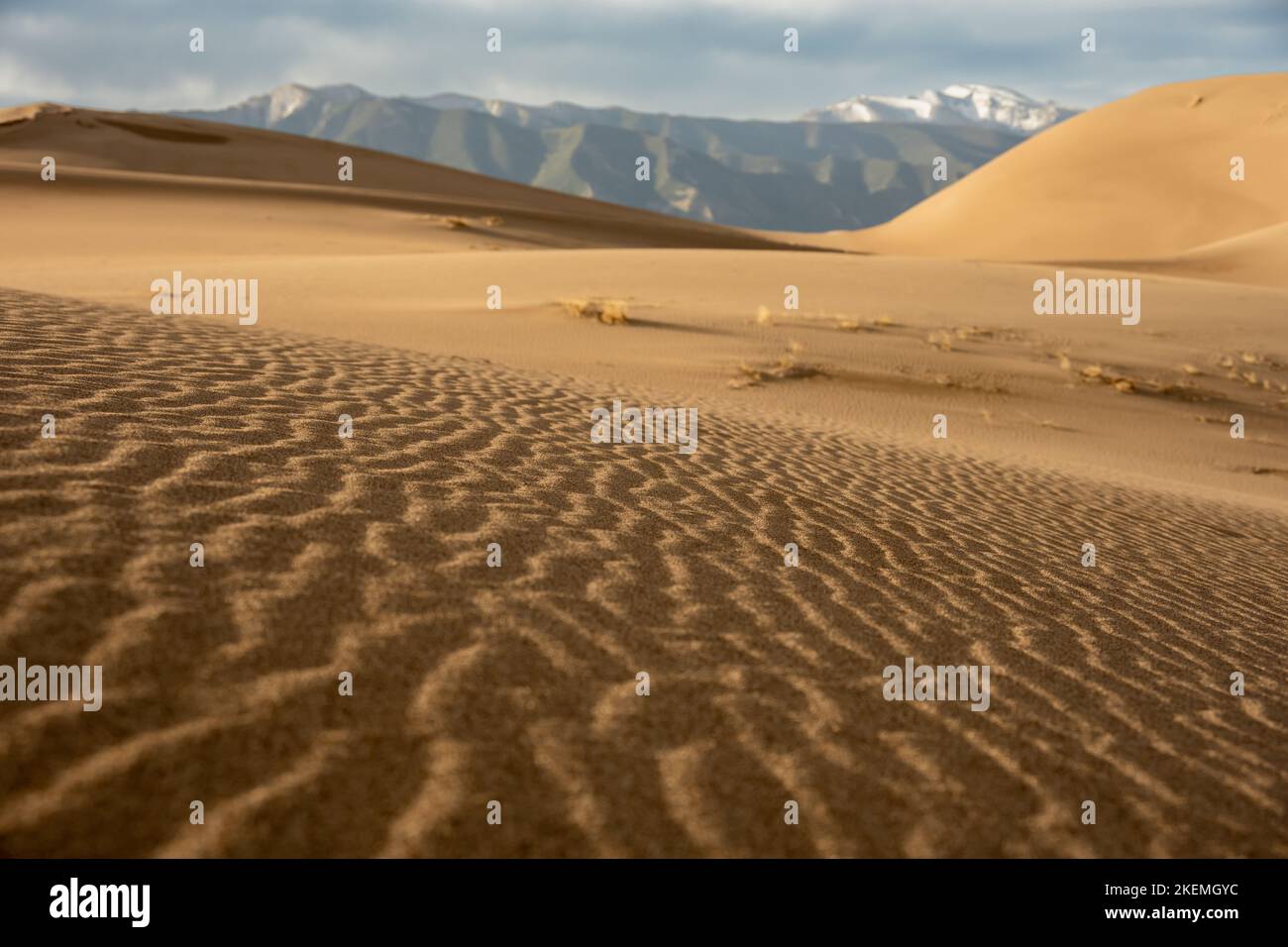 Sloped Surface of Sand Dune with Ripples in Great Sand Dunes National ...
