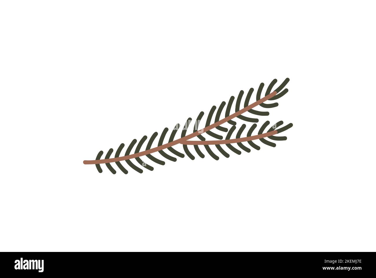 Hand drawn pine tree branch. Green lush spruce branch. Vector doodle illustration Stock Vector ...