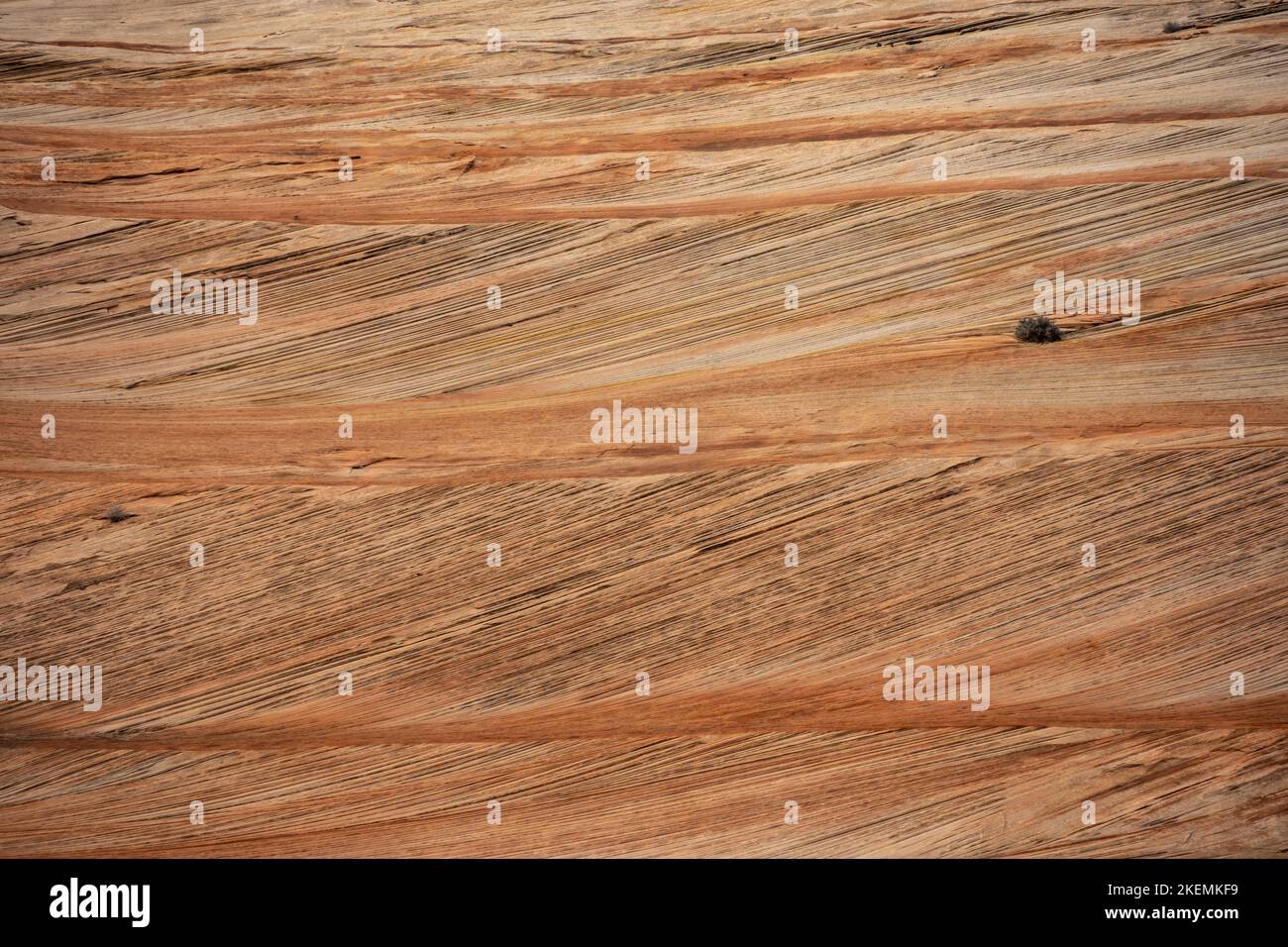 Swooping the wall hi-res stock photography and images - Alamy