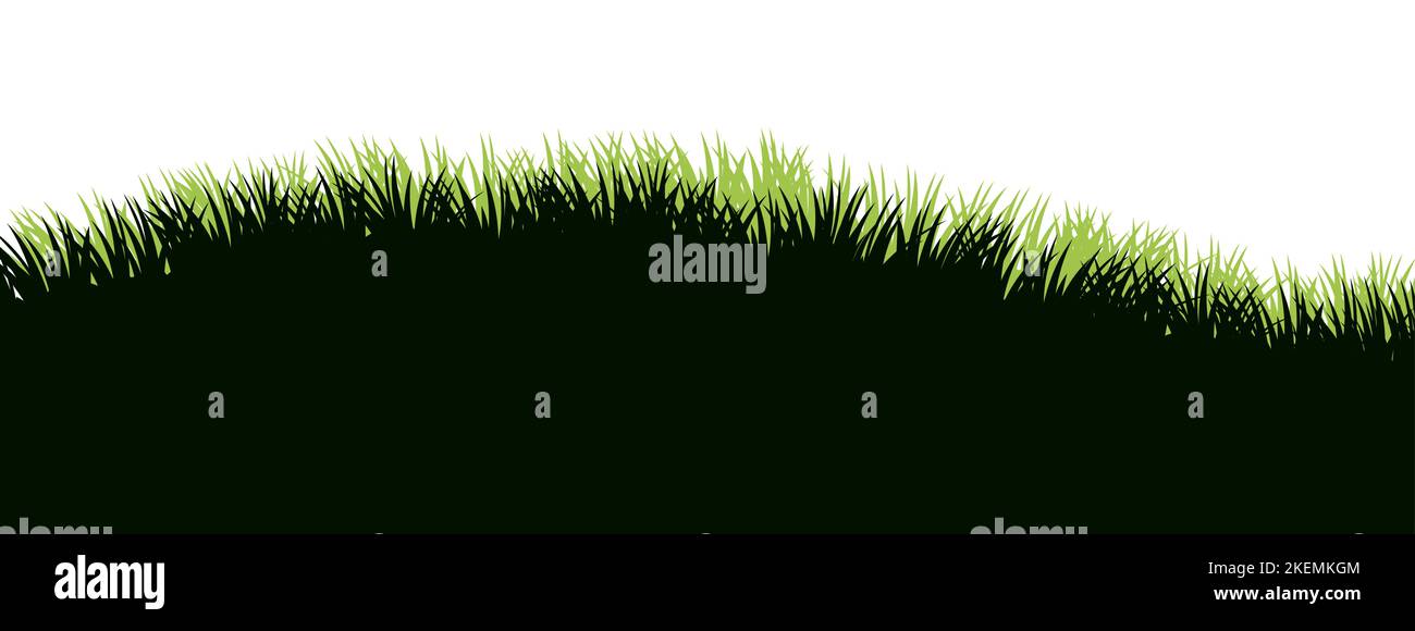 Grass. Nature rural landscape. Pasture overgrown. Overgrown dense lawn ...