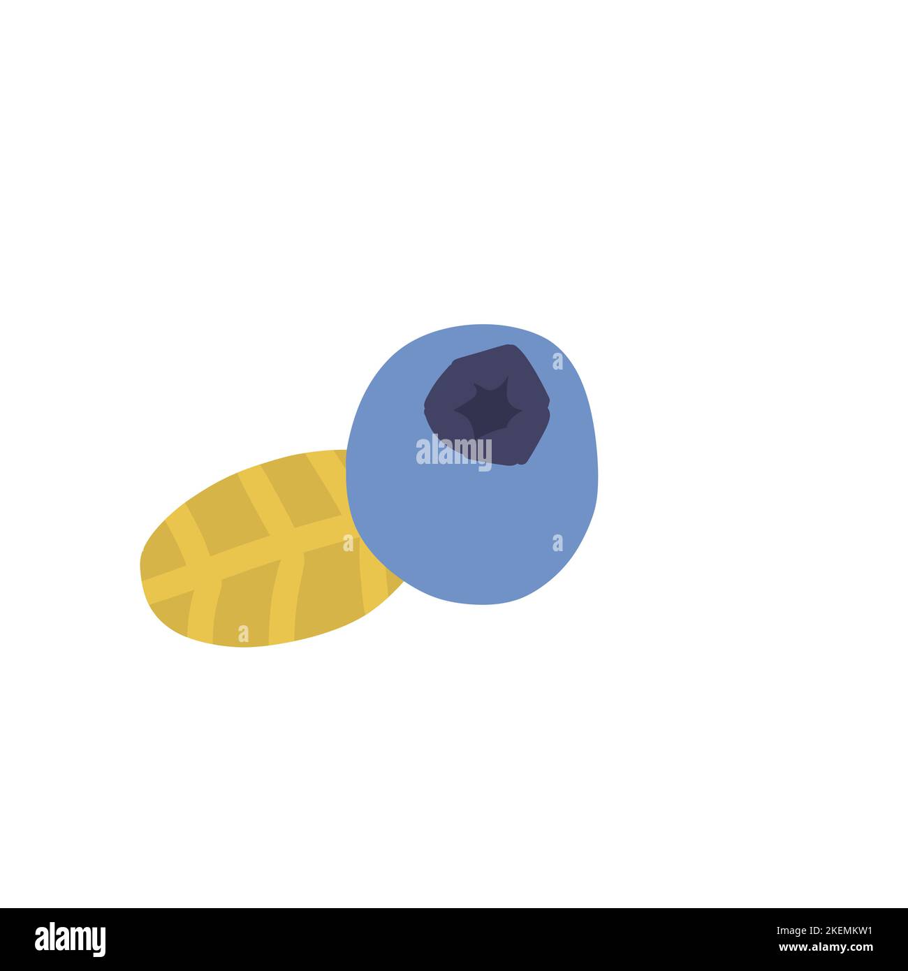 Blueberry vegetarian fresh snack. Blackberry healthy food. Vector vegan ...