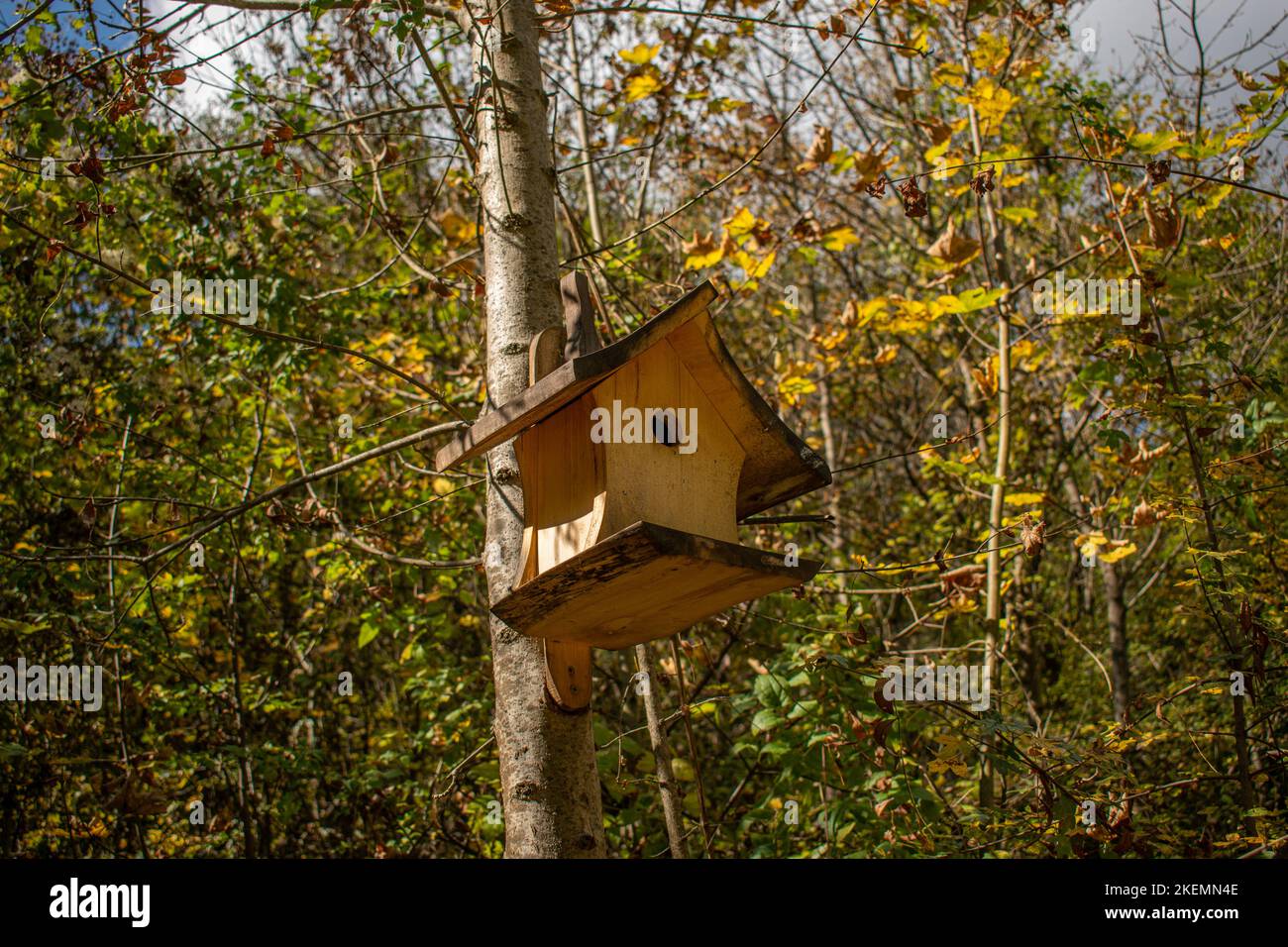 Bird house on a tree Stock Photo - Alamy