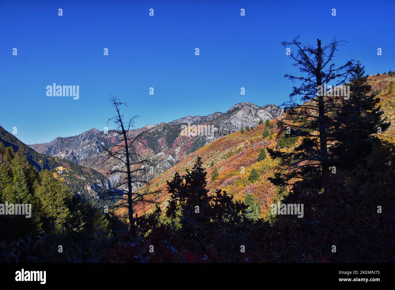 Pine Hollow hiking trail Mountain views by Timpanogos in the Wasatch ...
