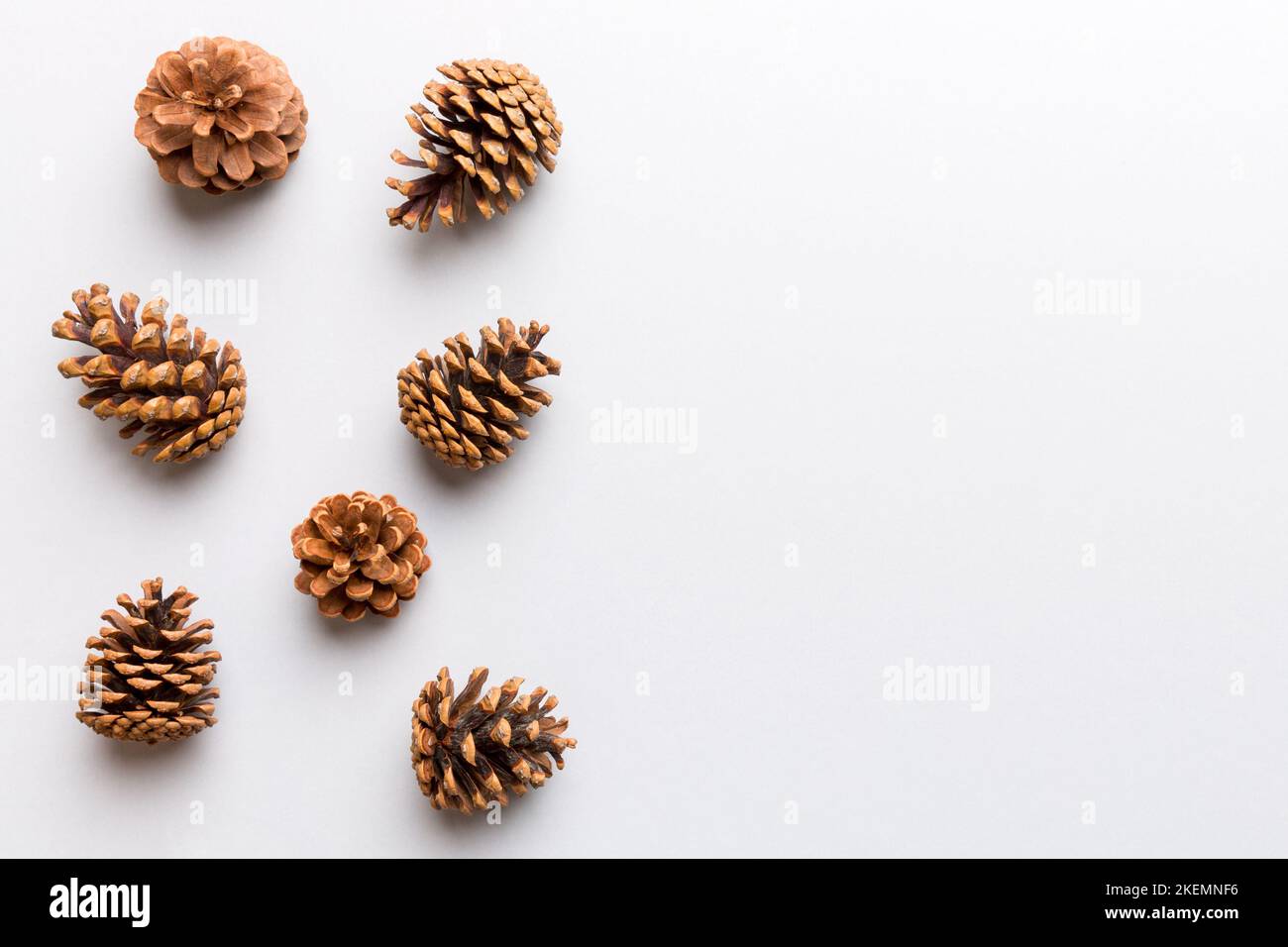 Christmas pine cones on colored paper border composition. Christmas ...