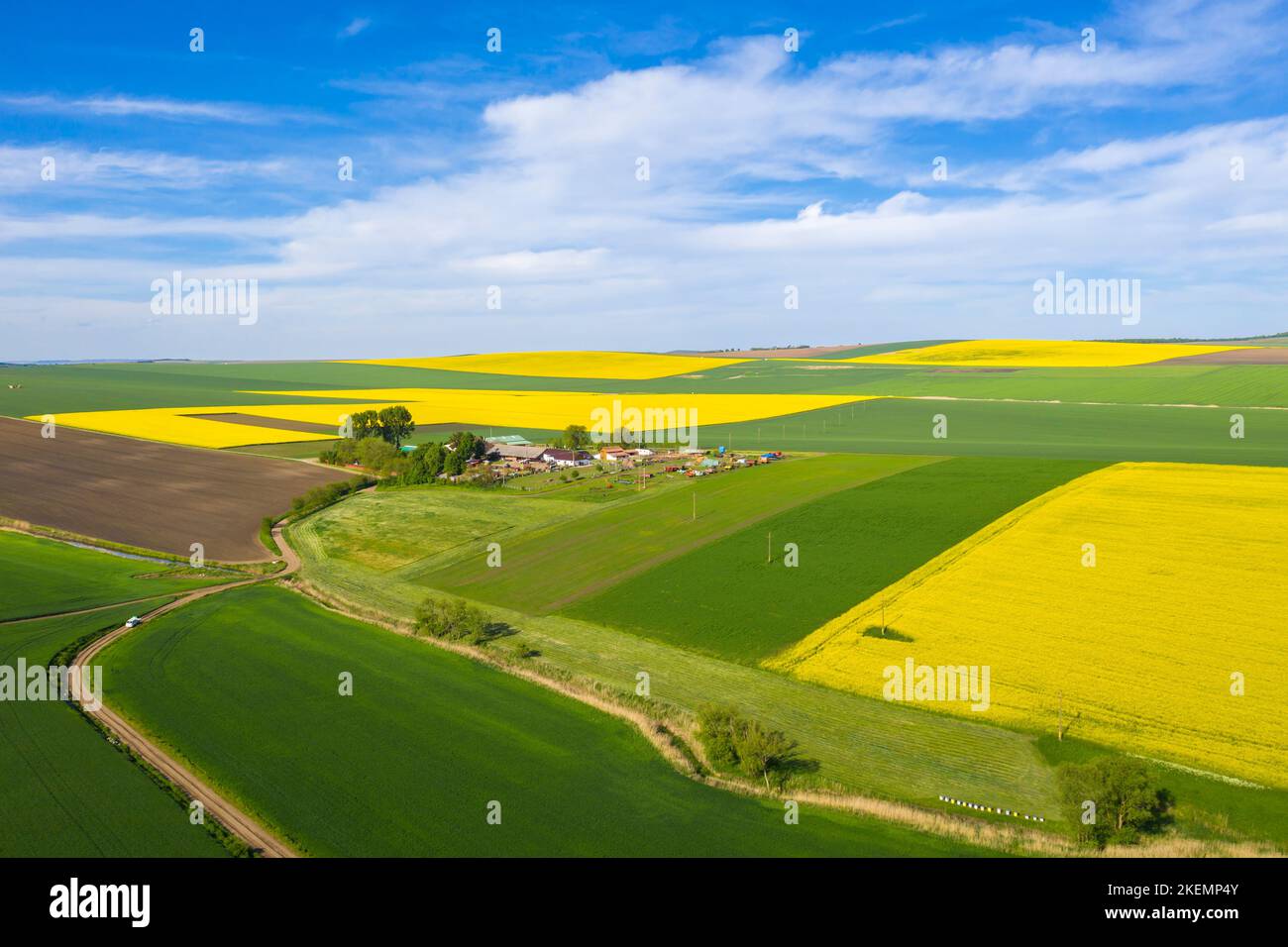 Agriculture farm surrounded by cultivated fields, cereal and rapeseed ...