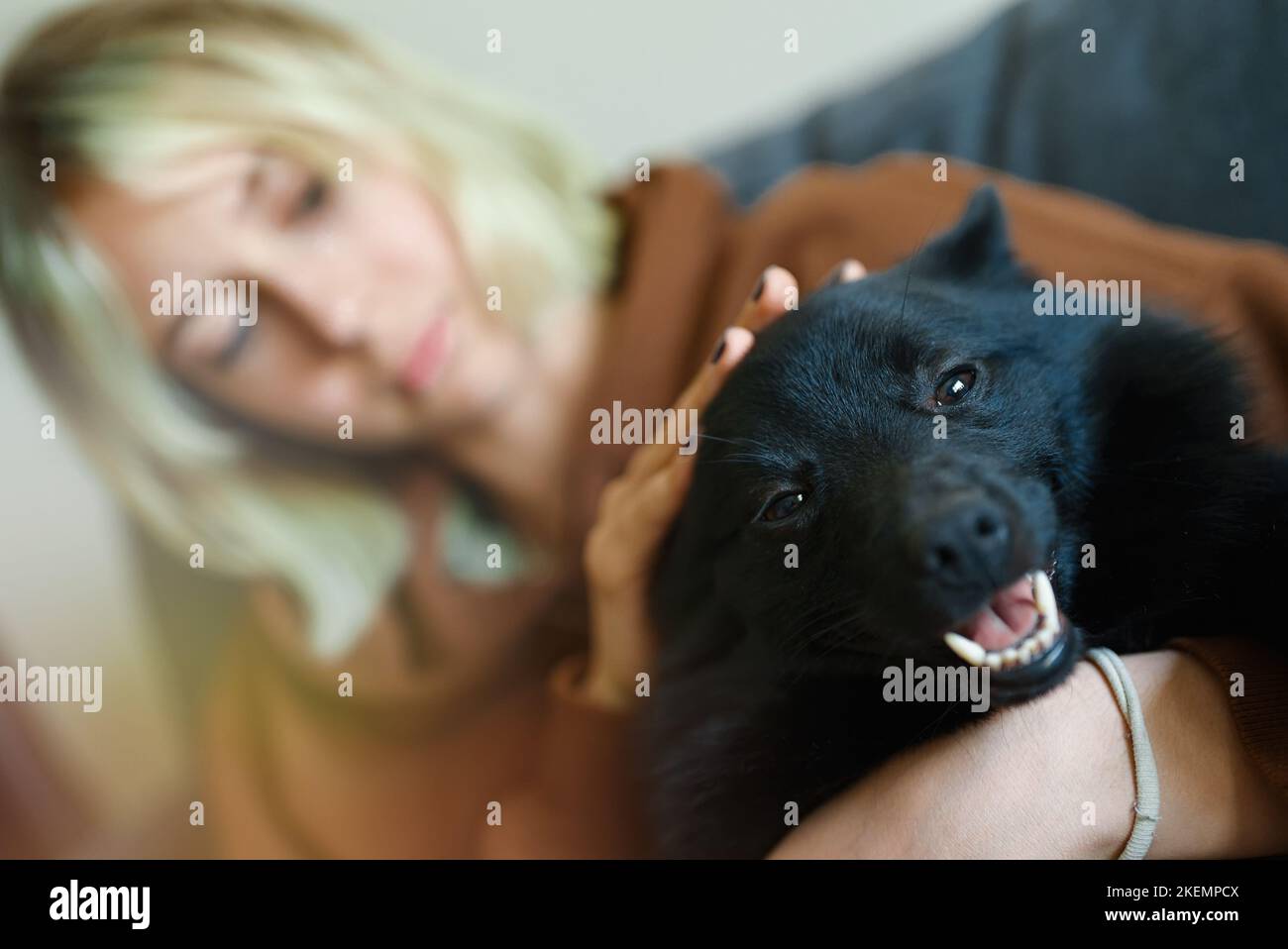 Teenage girl with cute Schipperke dog Stock Photo - Alamy