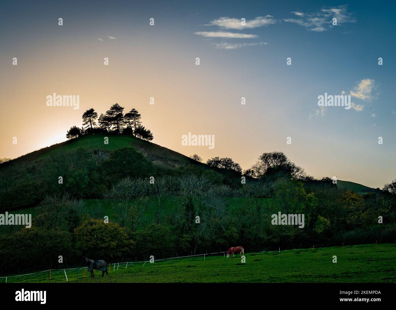 Beautiful dorset landscape hi-res stock photography and images - Alamy