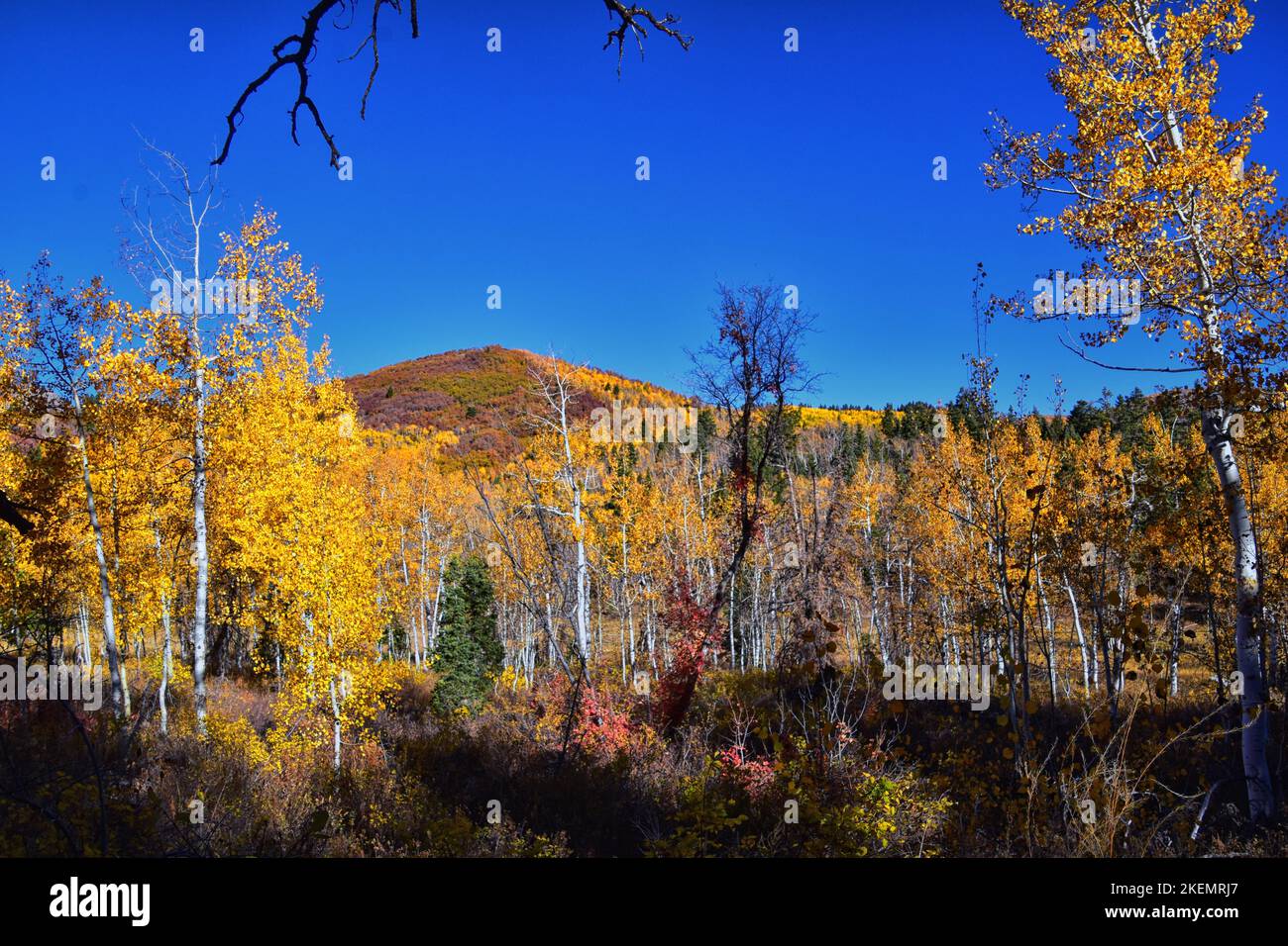 Pine Hollow hiking trail Mountain views by Timpanogos in the Wasatch ...