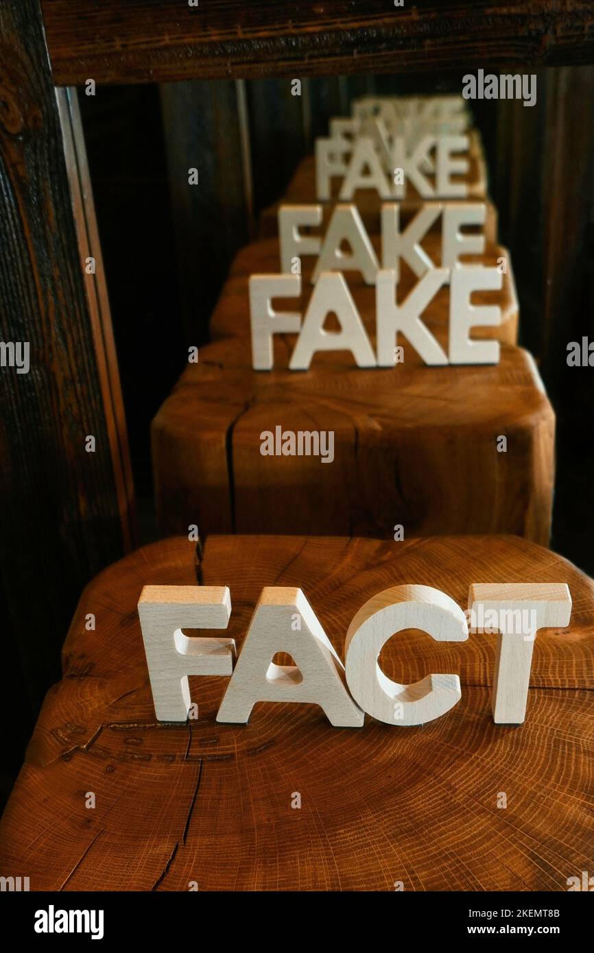 A vertical shot of a word Fact reflected by the word Fake Stock Photo ...