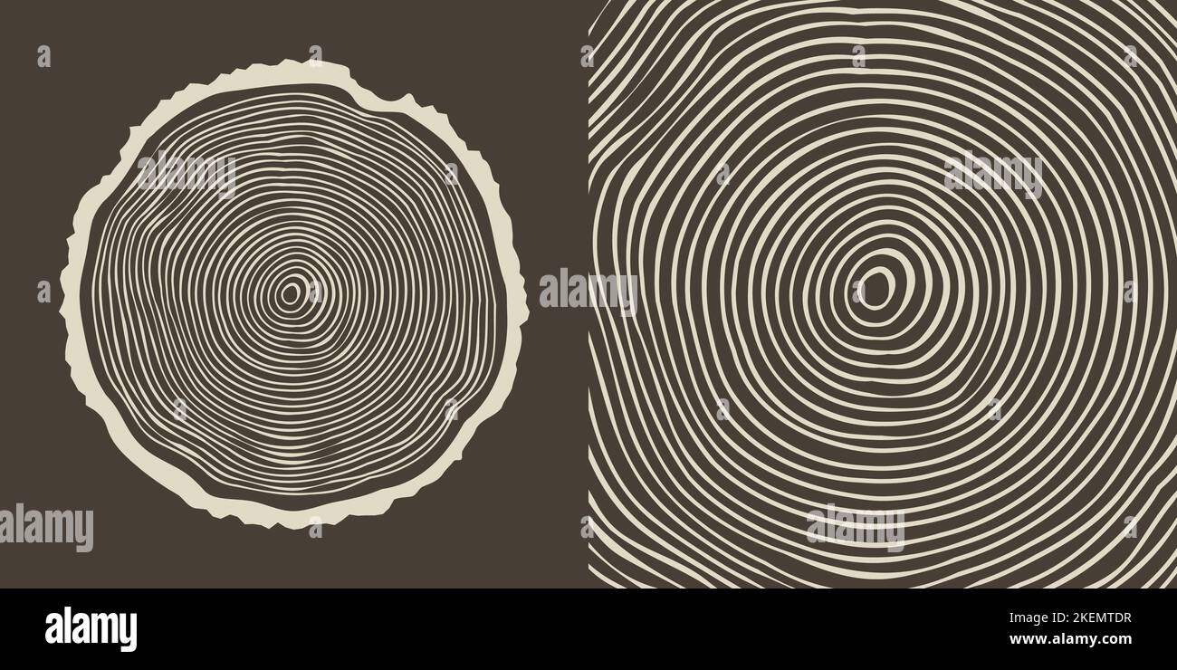 Round tree trunk cut, sawn pine or oak slice. Saw cut timber, wood ...