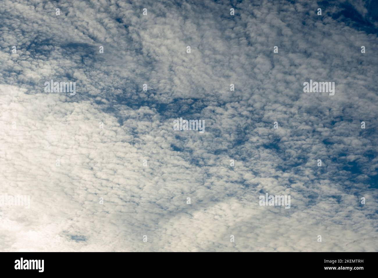 White clouds on a blue sky. Feather clouds in the sky, cloud background Stock Photo - Alamy