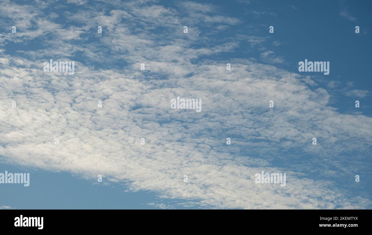 White clouds on a blue sky. Feather clouds in the sky, cloud background Stock Photo - Alamy