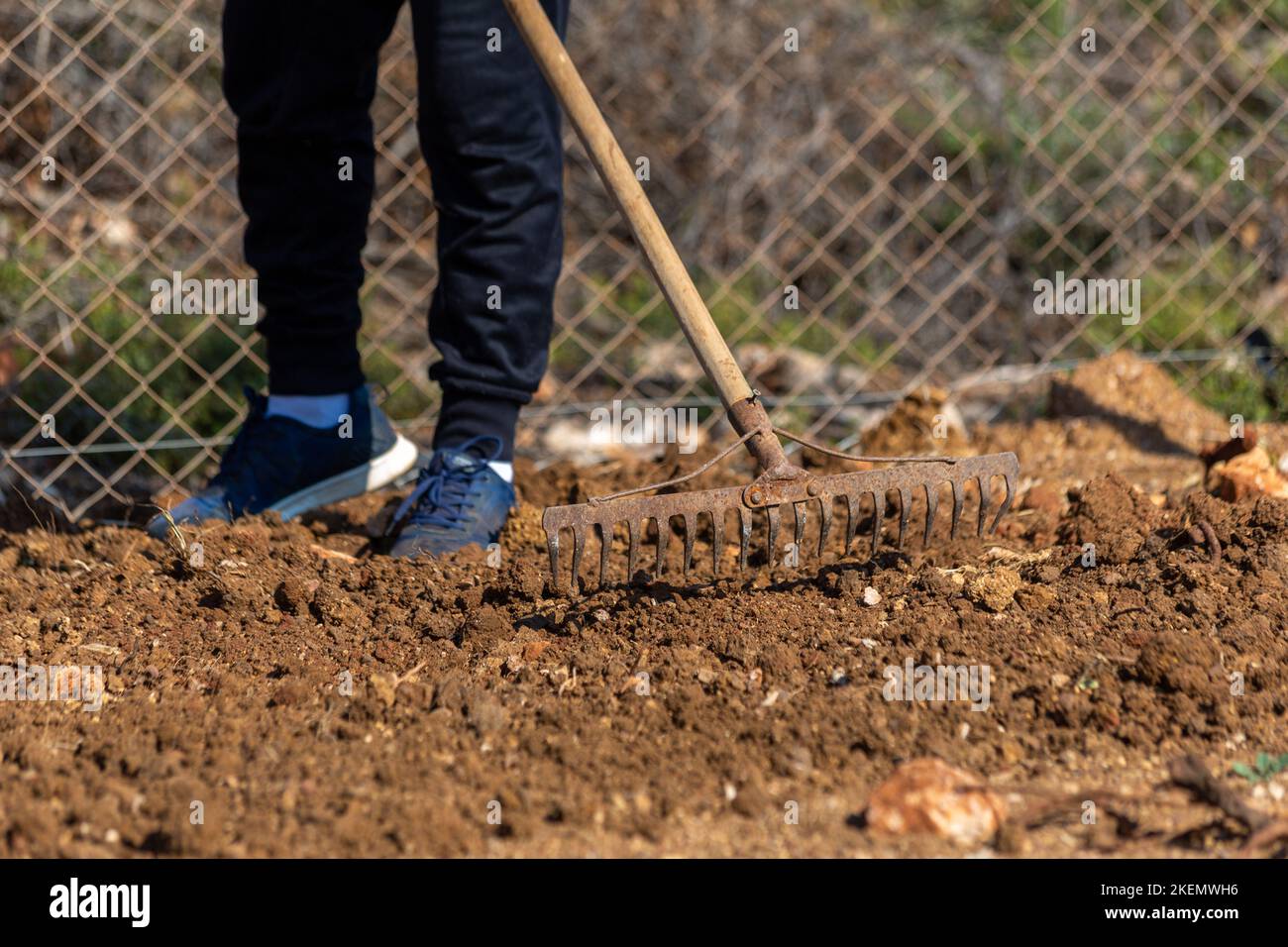 Garden rakes hi-res stock photography and images - Alamy
