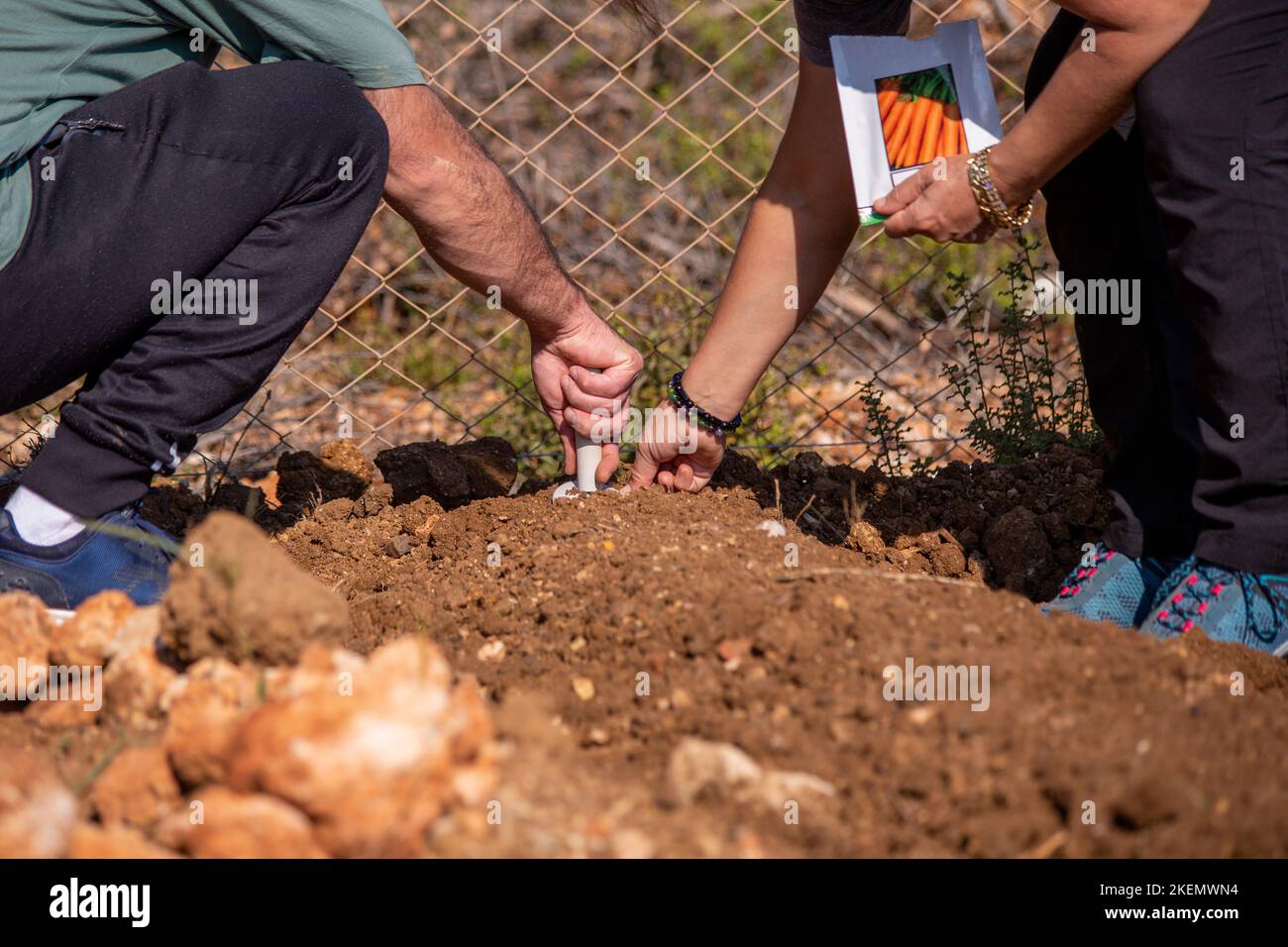 Man planting seedling plant close hi-res stock photography and images ...