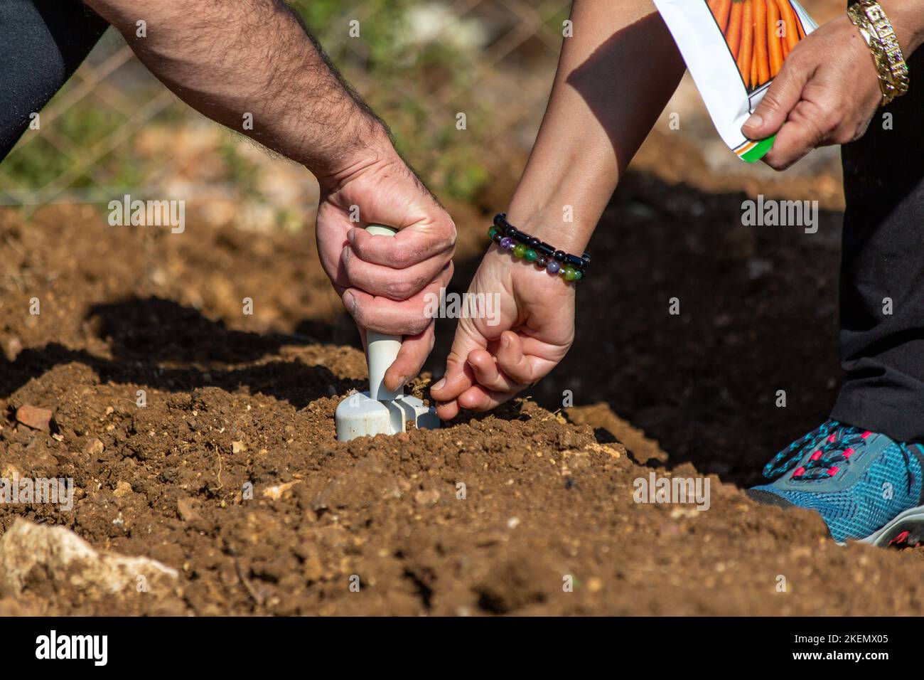 Close up people planting seedling hi-res stock photography and images ...