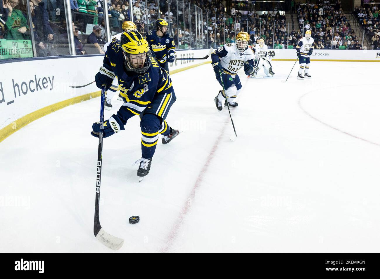 Compton family ice arena hi-res stock photography and images - Alamy