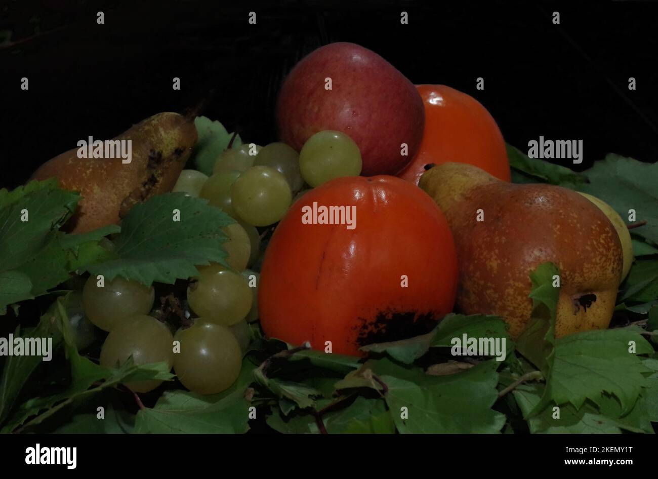 Grapefruit, apple, persimon and pear still life Stock Photo - Alamy