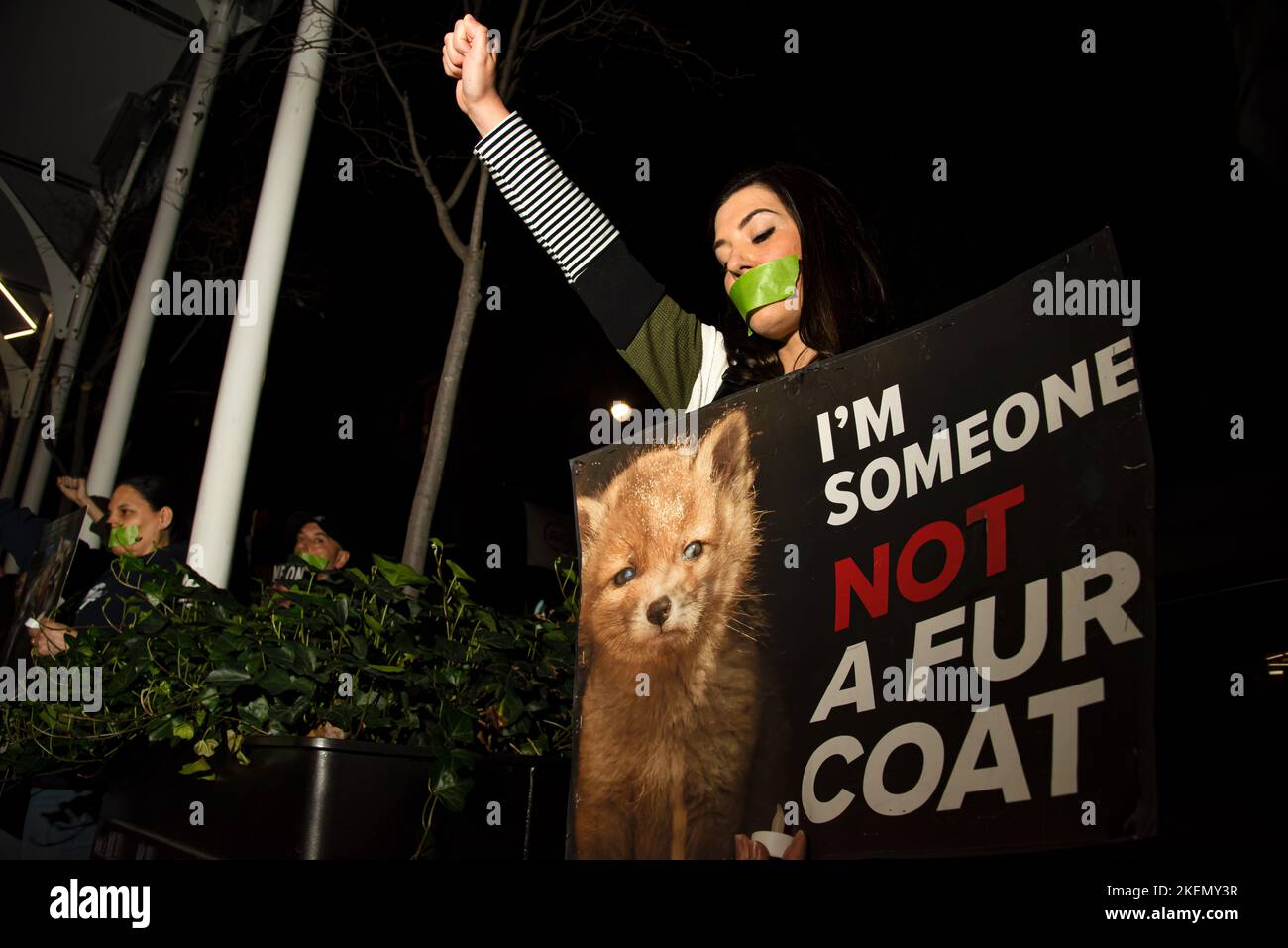 November 12, 2022, New York City, New York, USA: An anti-fur protesters ...