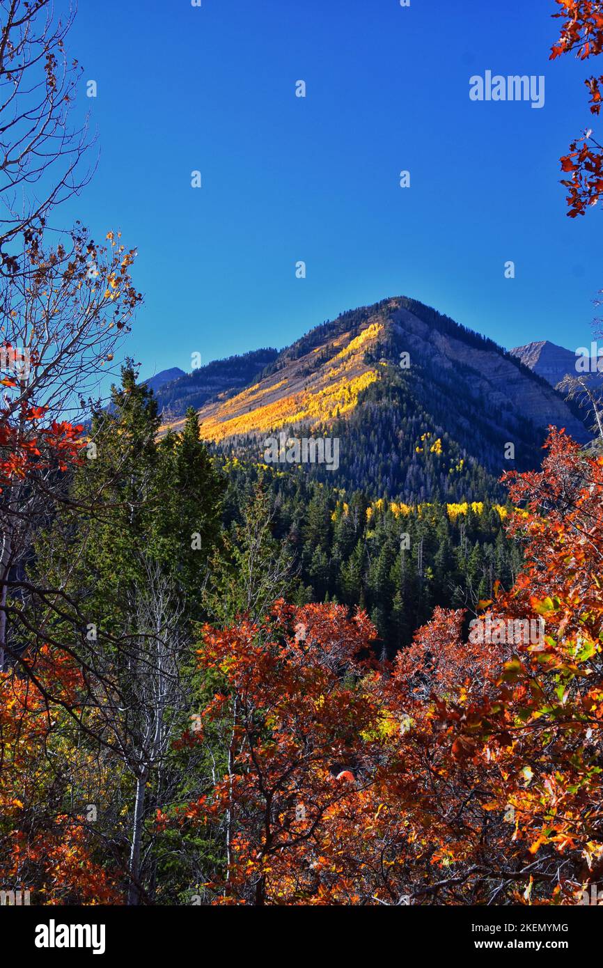 Timpanogos Peak back views hiking Bear Canyon Trail Wasatch Rocky ...