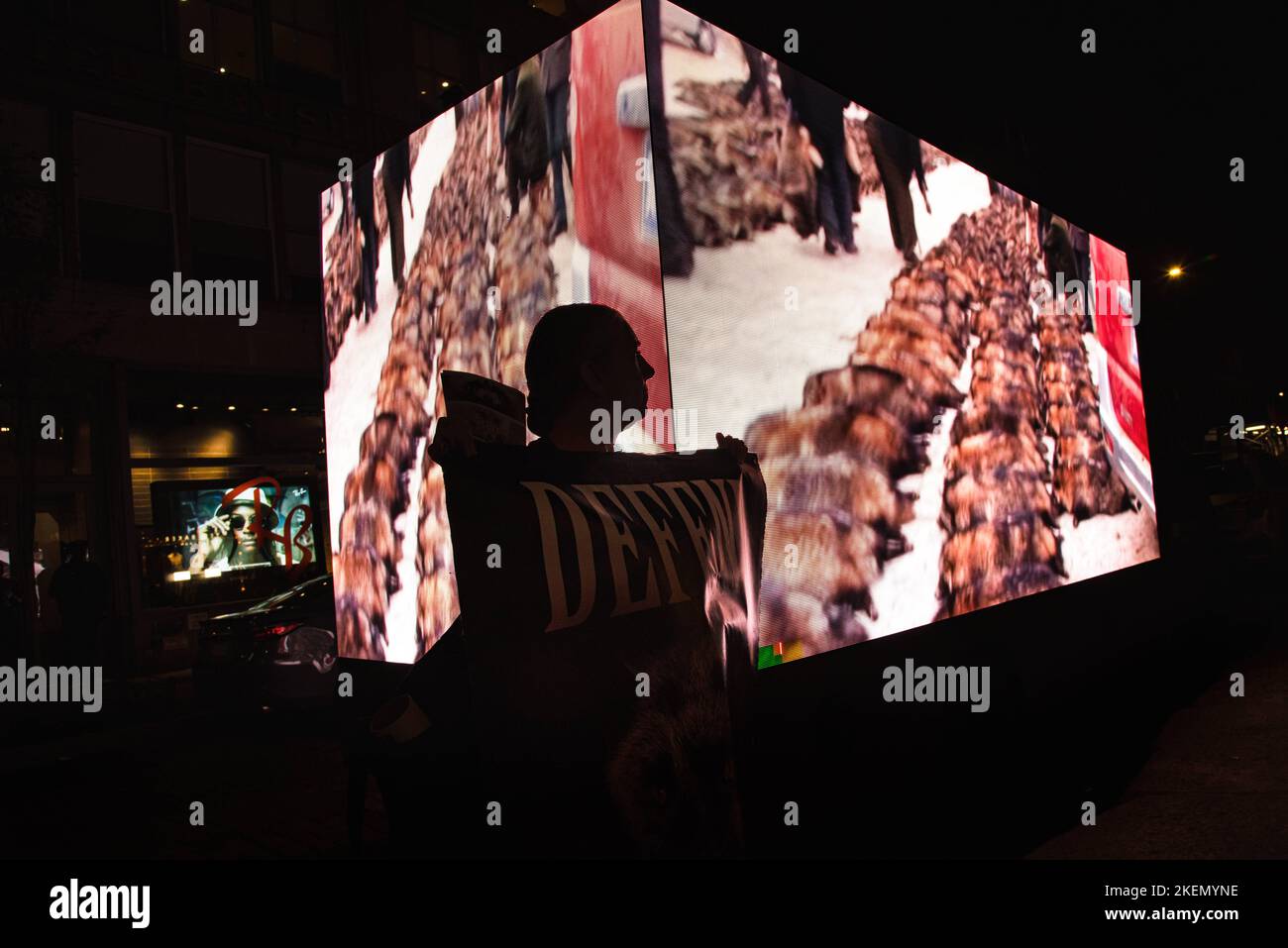 November 12, 2022, New York City, New York, USA: An anti-fur protesters ...
