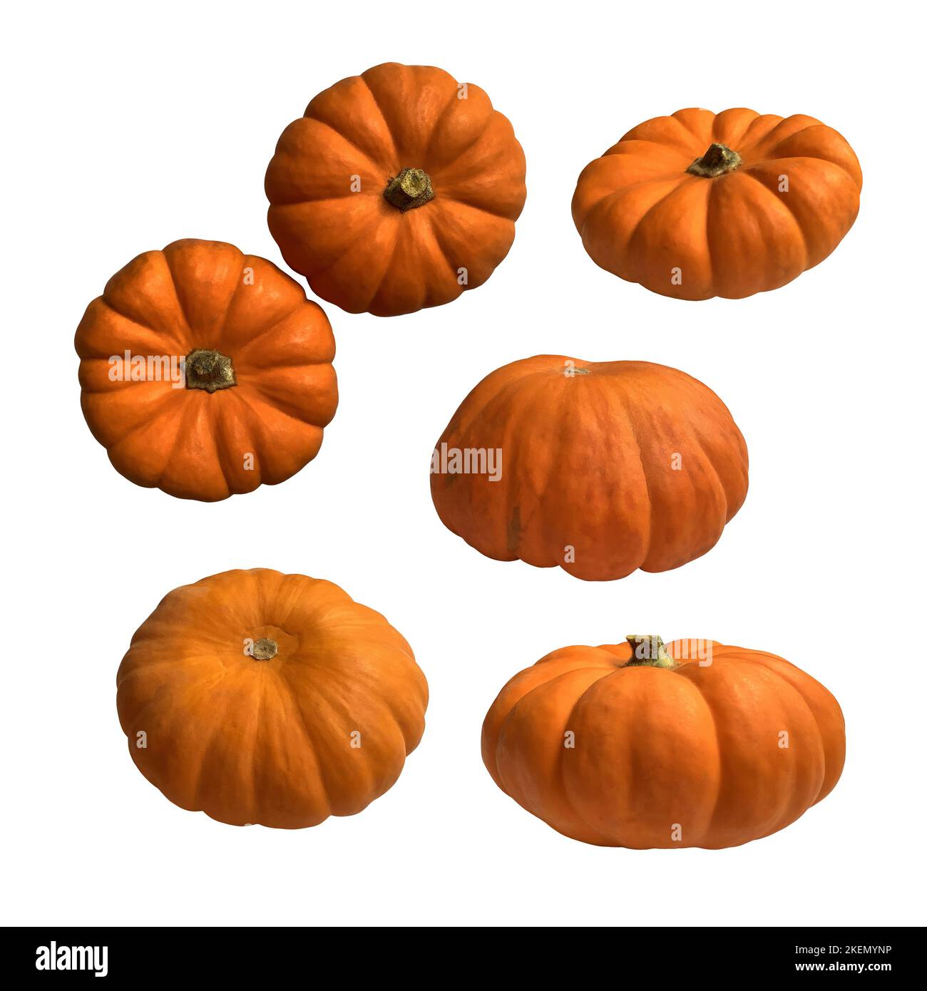Mini yellow pumpkin vegetable set seasonal image for autumn holiday ...