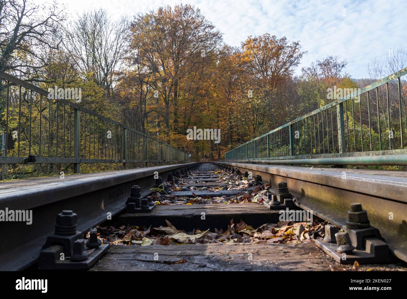 Forest railroad hi-res stock photography and images - Alamy