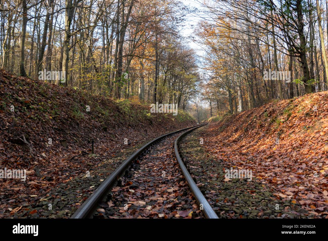 Railroad in autumn forest Stock Photo - Alamy