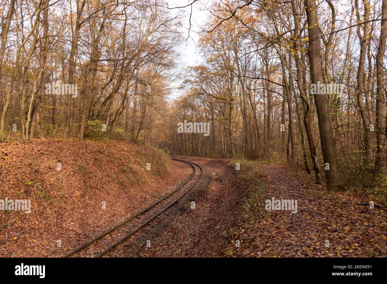 Forest and old rail road hi-res stock photography and images - Alamy