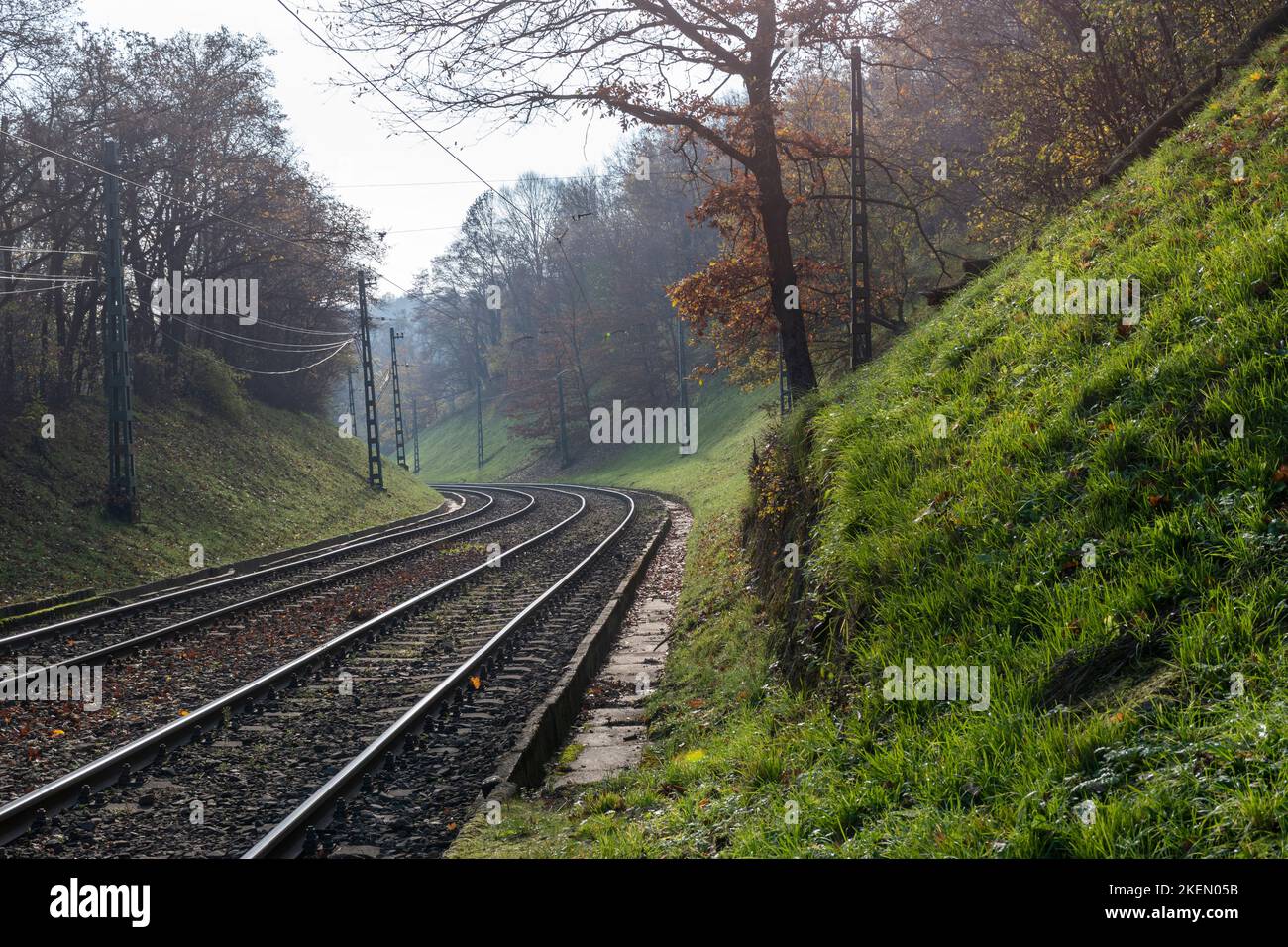 railroad in autumn forest Stock Photo - Alamy