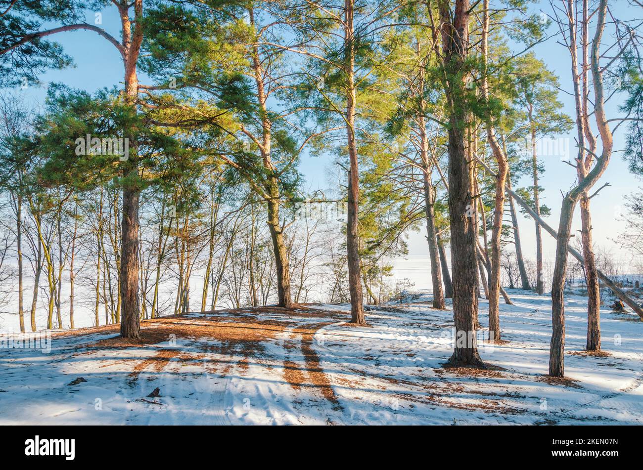 Beautiful day in winter hi-res stock photography and images - Alamy