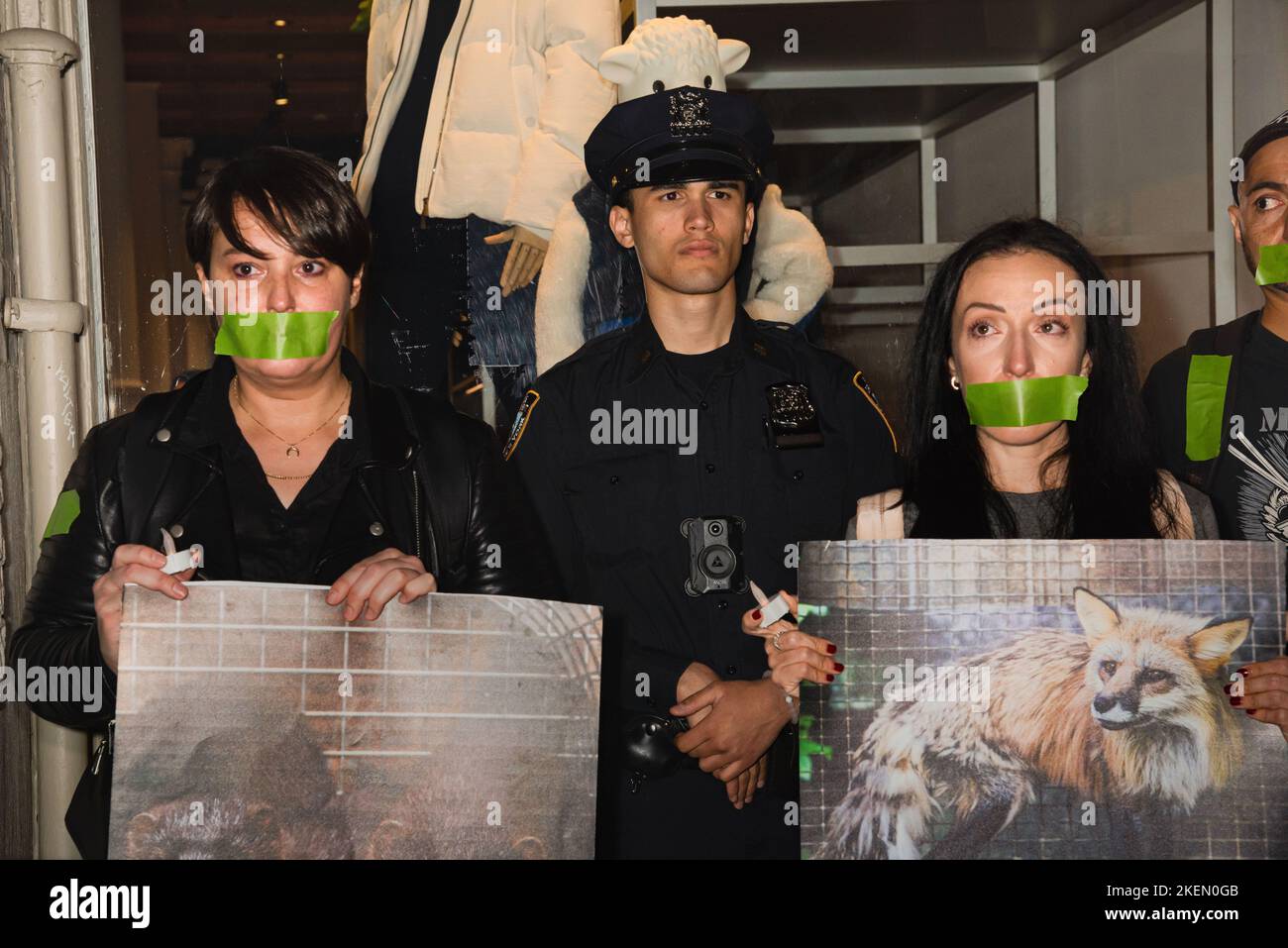 November 12, 2022, New York City, New York, USA: Anti-fur protesters ...