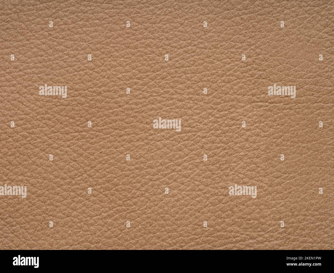 Beige Leather Texture Seamless Grey Leather Texture Royalty Free