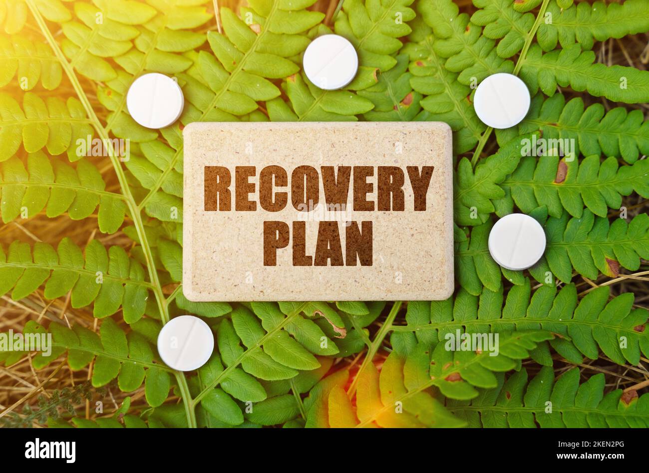 Medicine concept. On a green leaf of the plant are pills and a sign ...