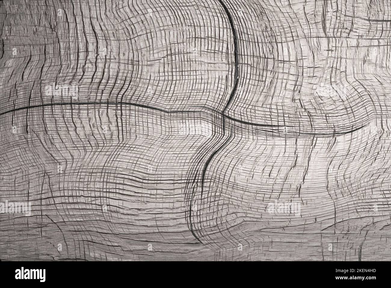 Slightly twisted gray wooden pattern. texture background Stock Photo ...