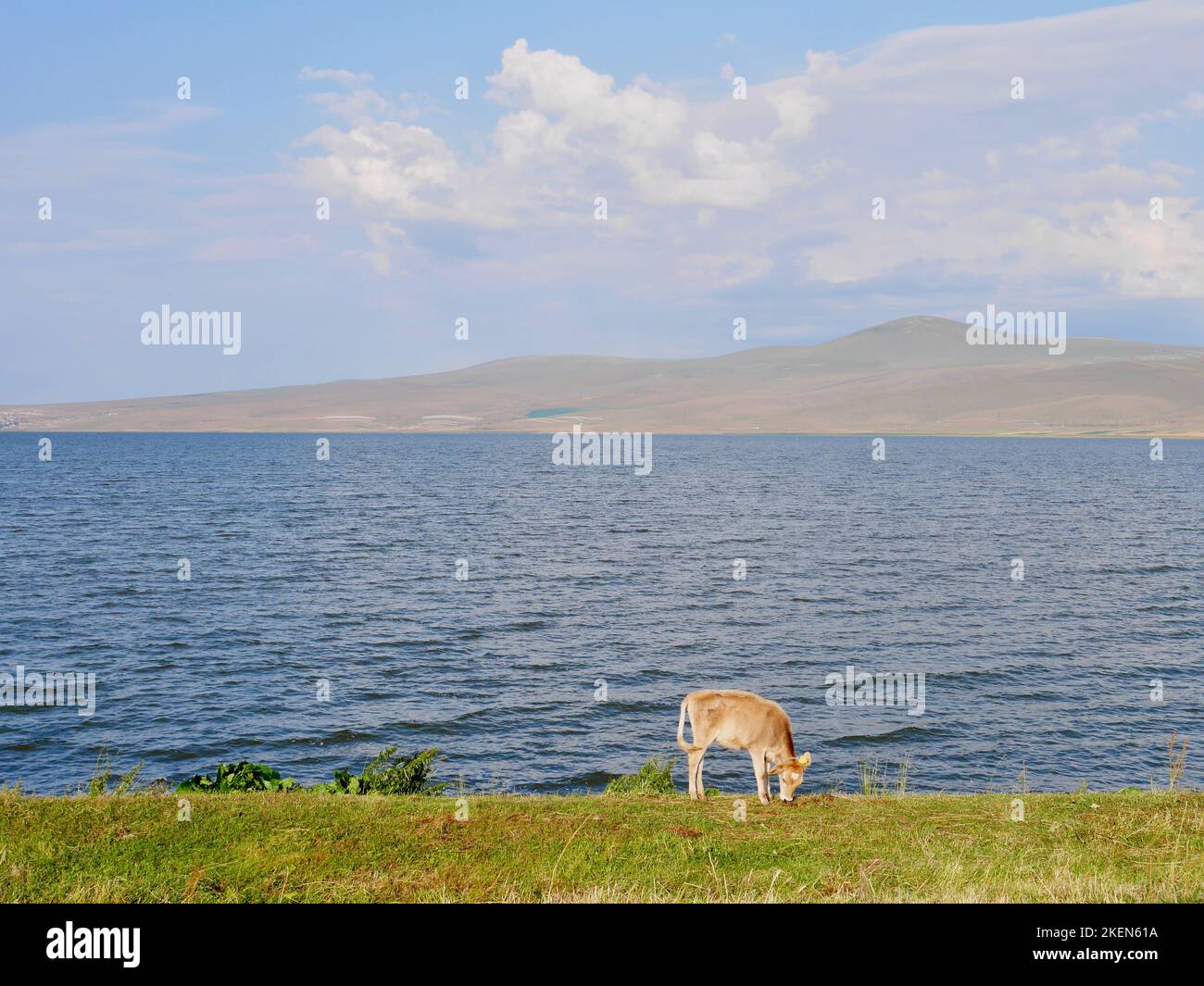 Beautiful nature at Paravani Lake in Samtskhe-Javakheti National Park ...