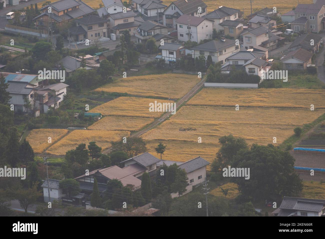 The Matsumoto Plain from above on a hazy autumn day, with views of ripe ...