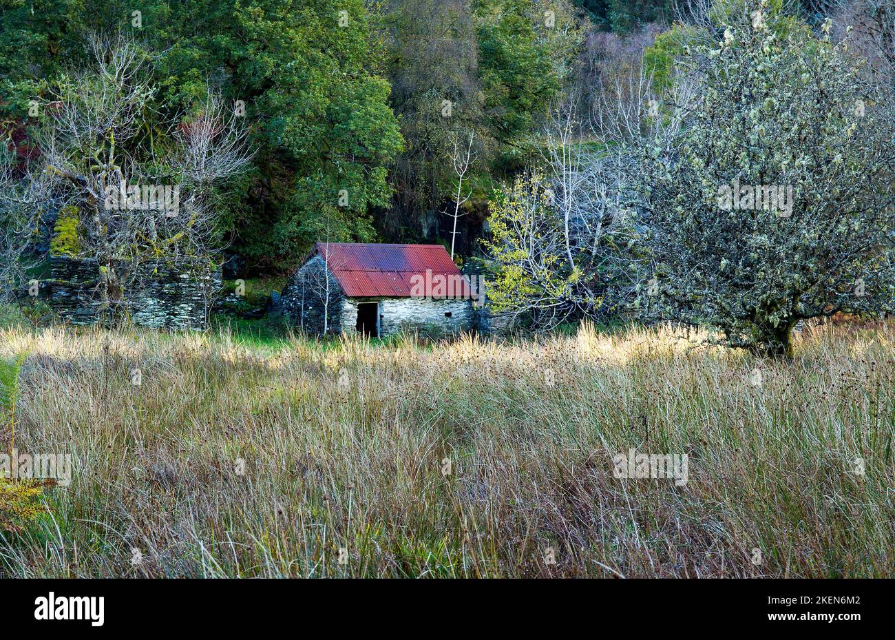 Photograph of ruined cottage hi-res stock photography and images - Alamy