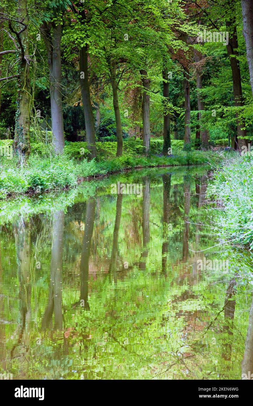 Whitmore village staffordshire england uk hi-res stock photography and ...
