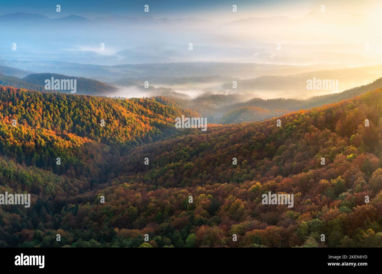 Aerial view beautiful autumn landscape with colorful trees, grassy ...