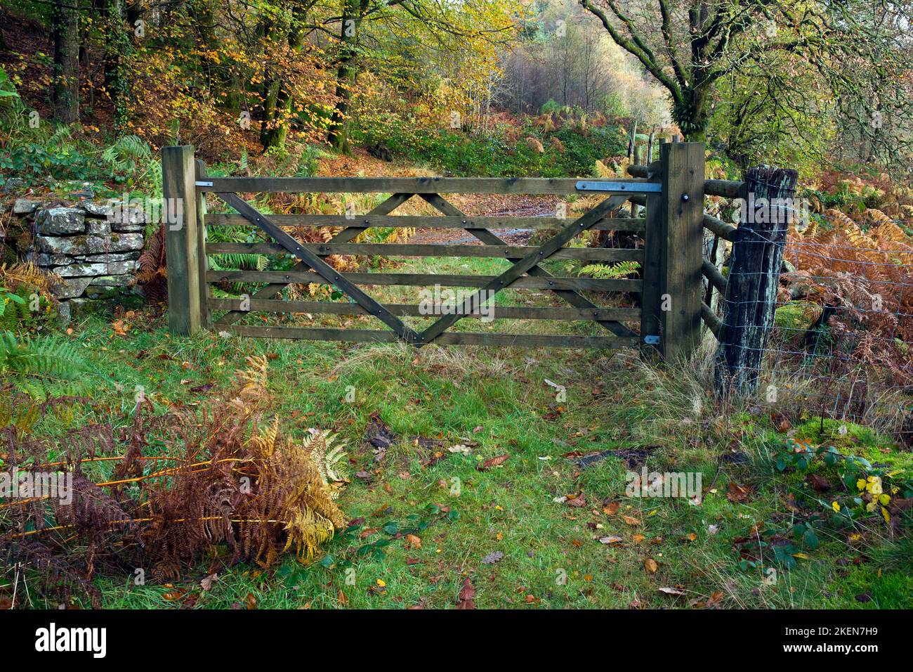 Wooden six barred field gate in autumn setting in Snowdonia National ...