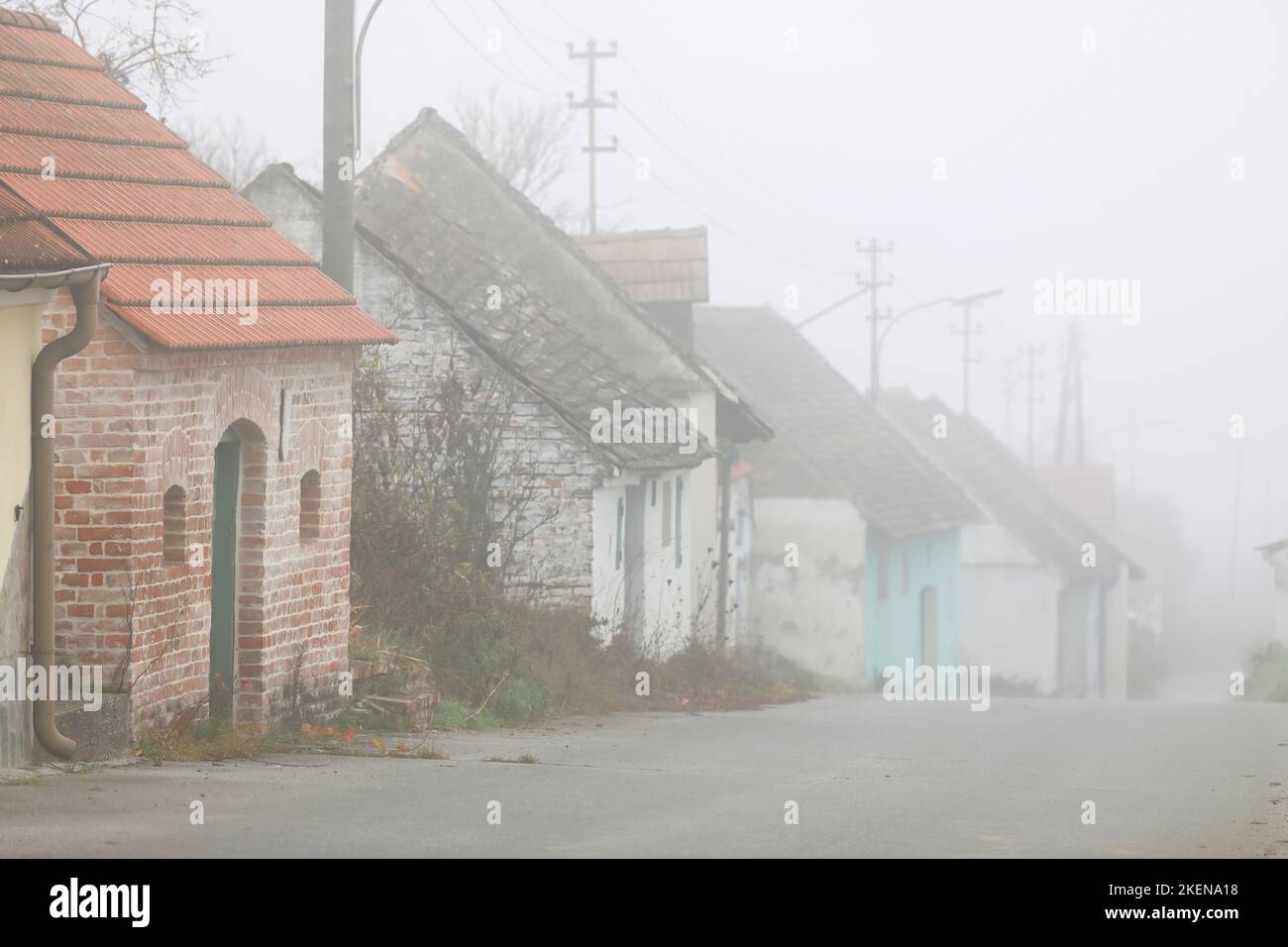 A typical old cellar lane in the November fog in the Lower Austrian ...