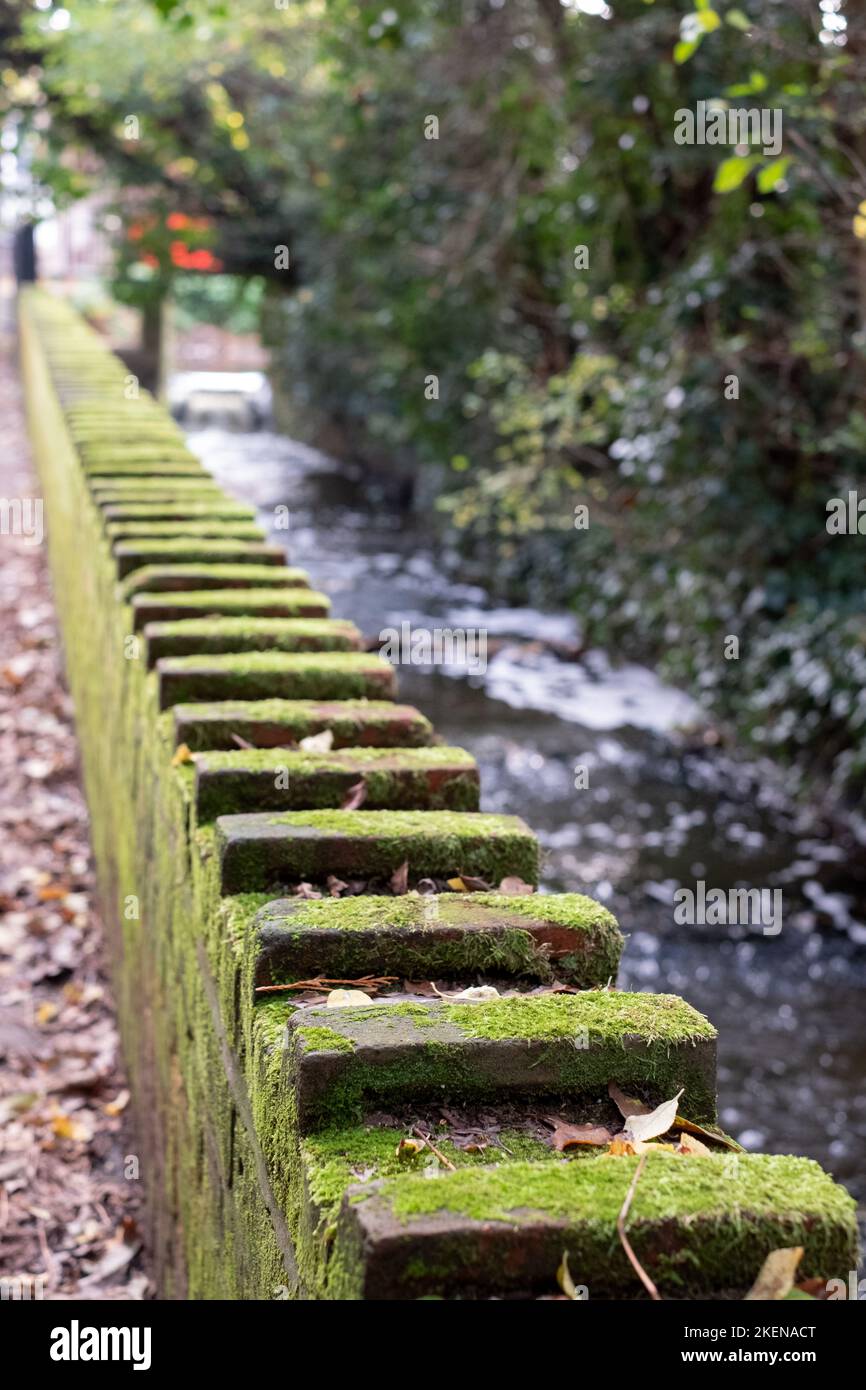Moss covered bricks run alongside the water at Mill Walk, Mill Quay ...