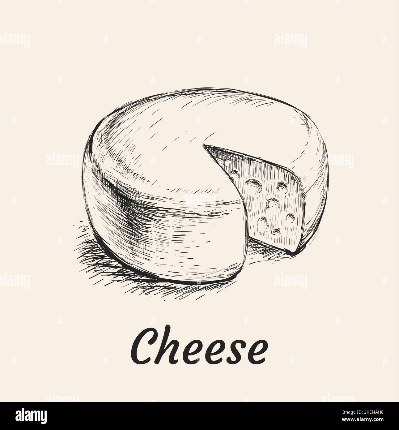 Head of Cheese Hand Drawn Vector Illustration Head of Cheese Hand Drawn ...