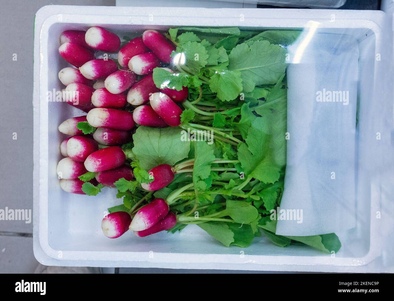 Bunch of fresh radishes (red) in a grocery store - tasty fresh ...
