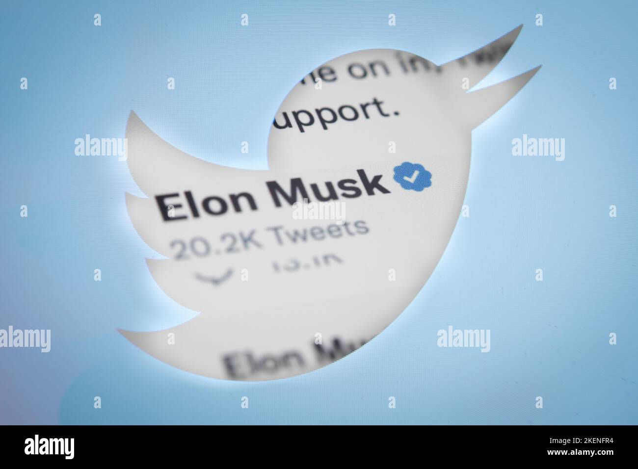 The Twitter Blue Checkmark is seen in this photo illustration in Warsaw ...