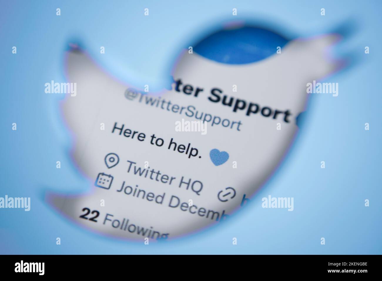 The profile page of the Twitter Support team is seen in this photo ...