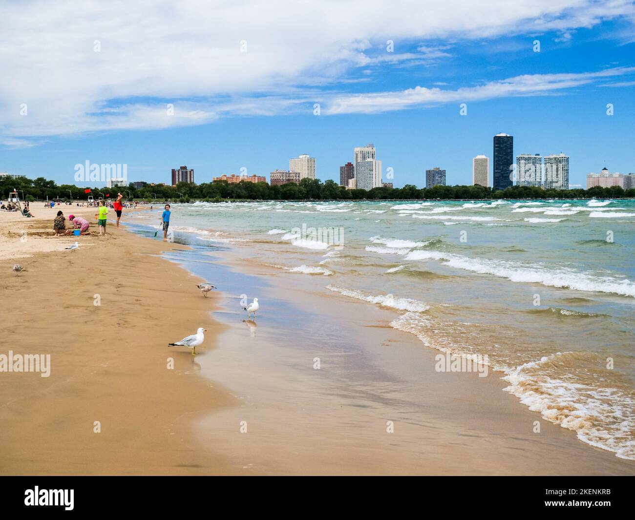 Chicago lakefront gulls hi-res stock photography and images - Alamy