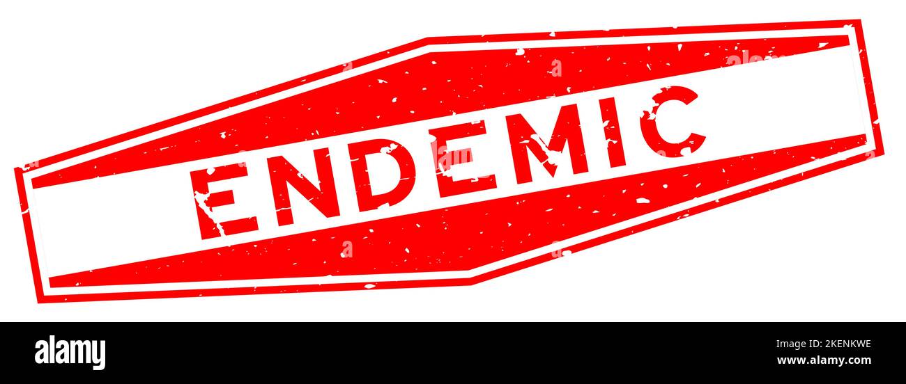Grunge Red Endemic Word Hexagon Rubber Seal Stamp On White Background